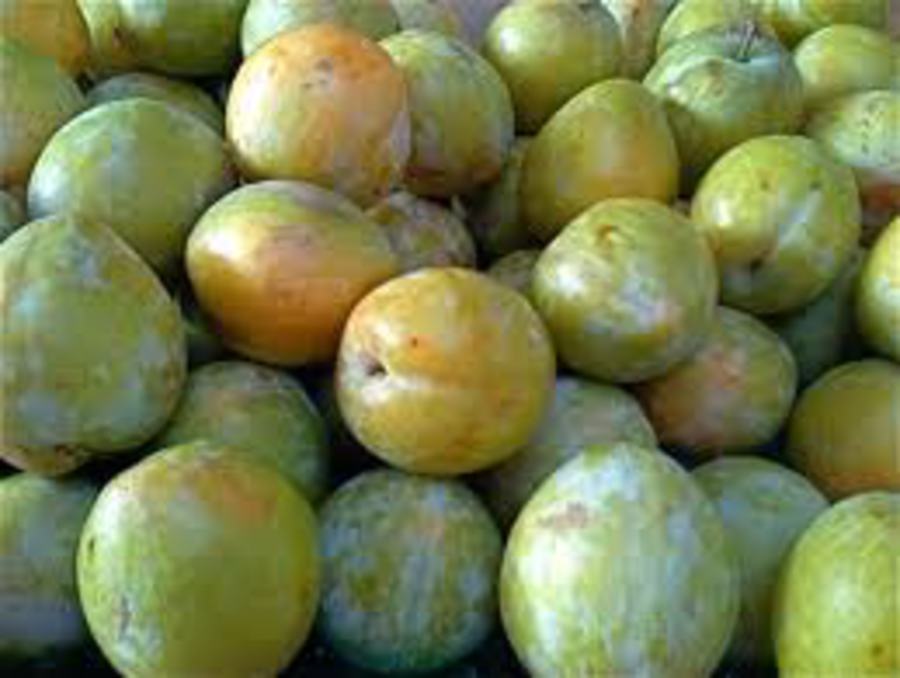 ΚΟΡΟΜΗΛΙΕΣ